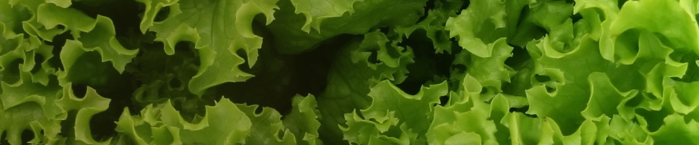 Tools & Resources - Food Loss and Waste Protocol